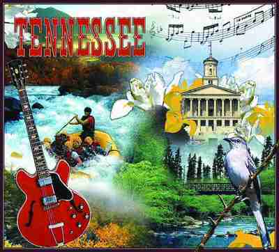 Tennessee Coverlet – Mill Street Designs